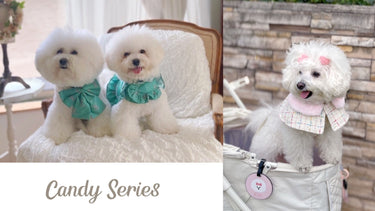 KLMu-くるむ- – K.L.Mu