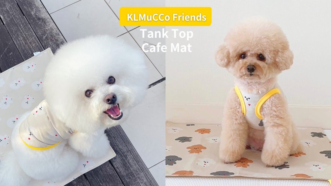 KLMu-くるむ- – K.L.Mu